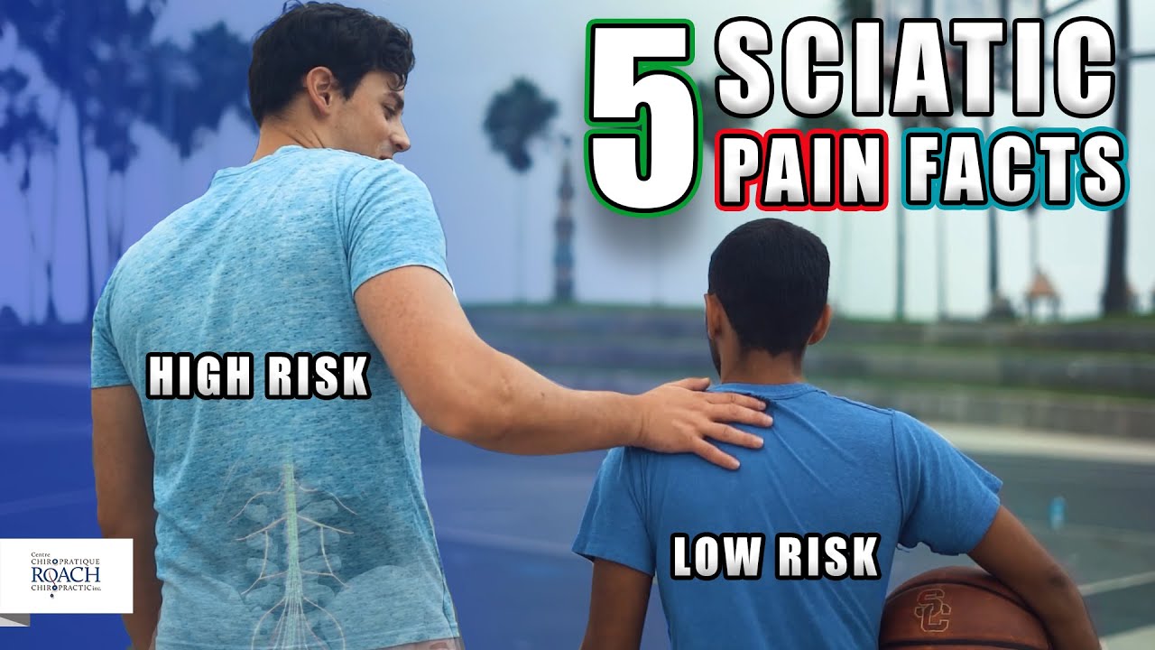 5 Interesting Facts About Sciatic Pain - Roach Chiropractic Centre