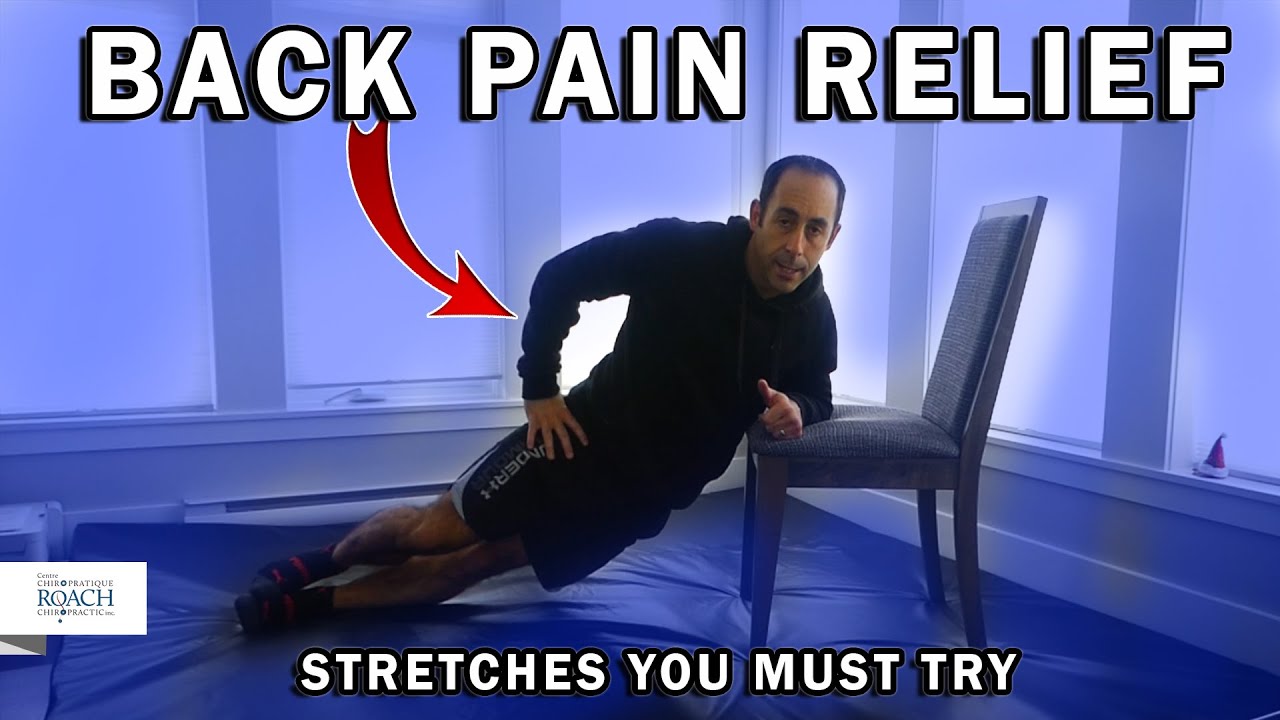 Back Pain Relief Stretches: Remedies For Your QL Muscle - Roach Chiropractic Centre